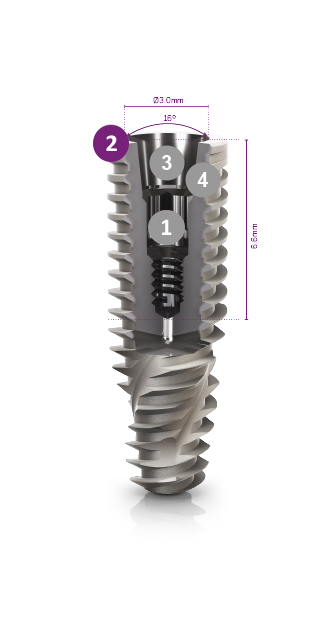 Neodent® GM ฟันฝังภายใน Premill ข้างว่าง 14 มิลลิเมตร ลงมือที่เข้ากัน ...